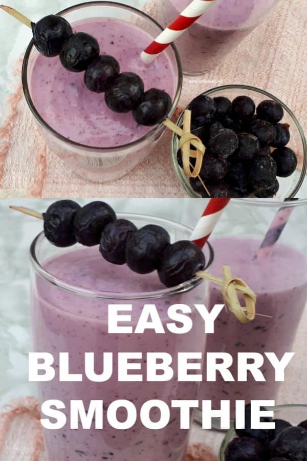 Easy Blueberry Smoothie | With A Blast