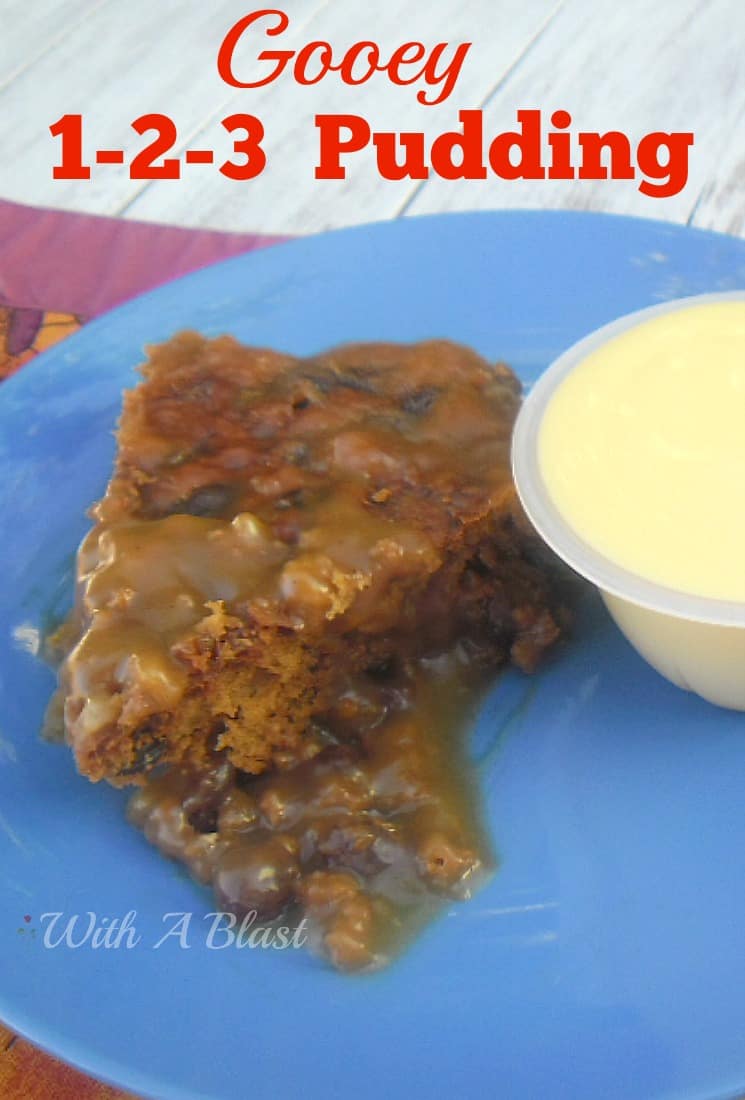 Gooey 1-2-3 Pudding | With A Blast